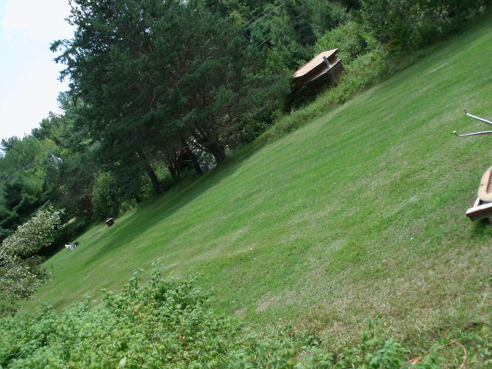 elevage labradorsirleduc